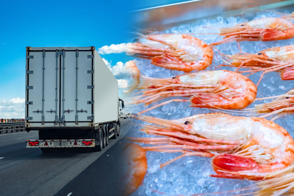 Cold Chain Logistics in 2026: Trends, Costs & Solutions
